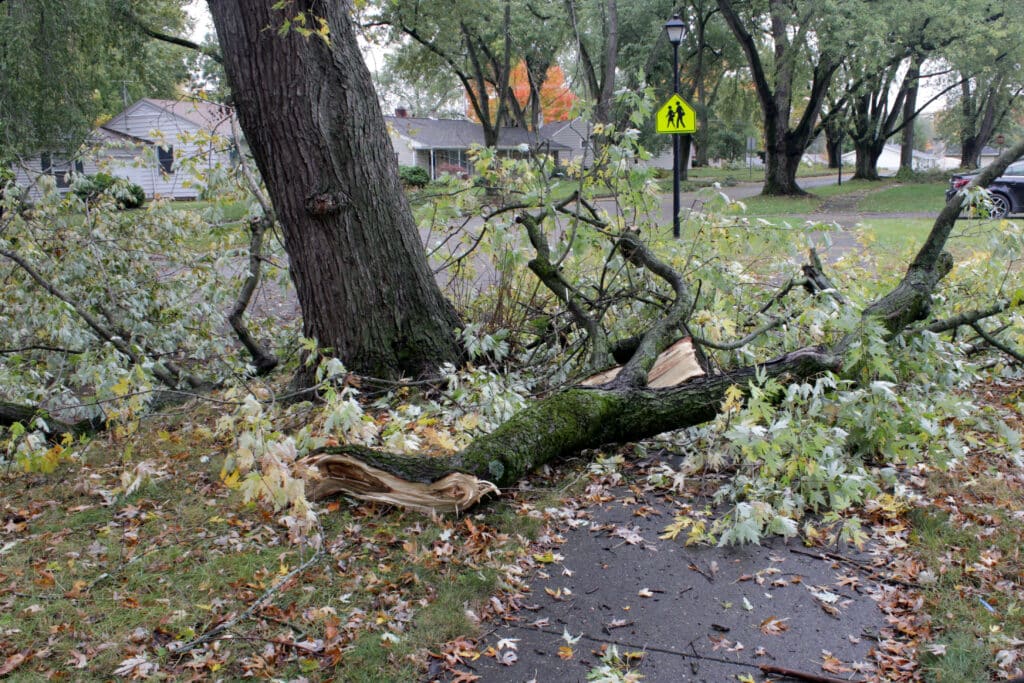 Windstorm Insurance Claims | Daly & Black, P.C.